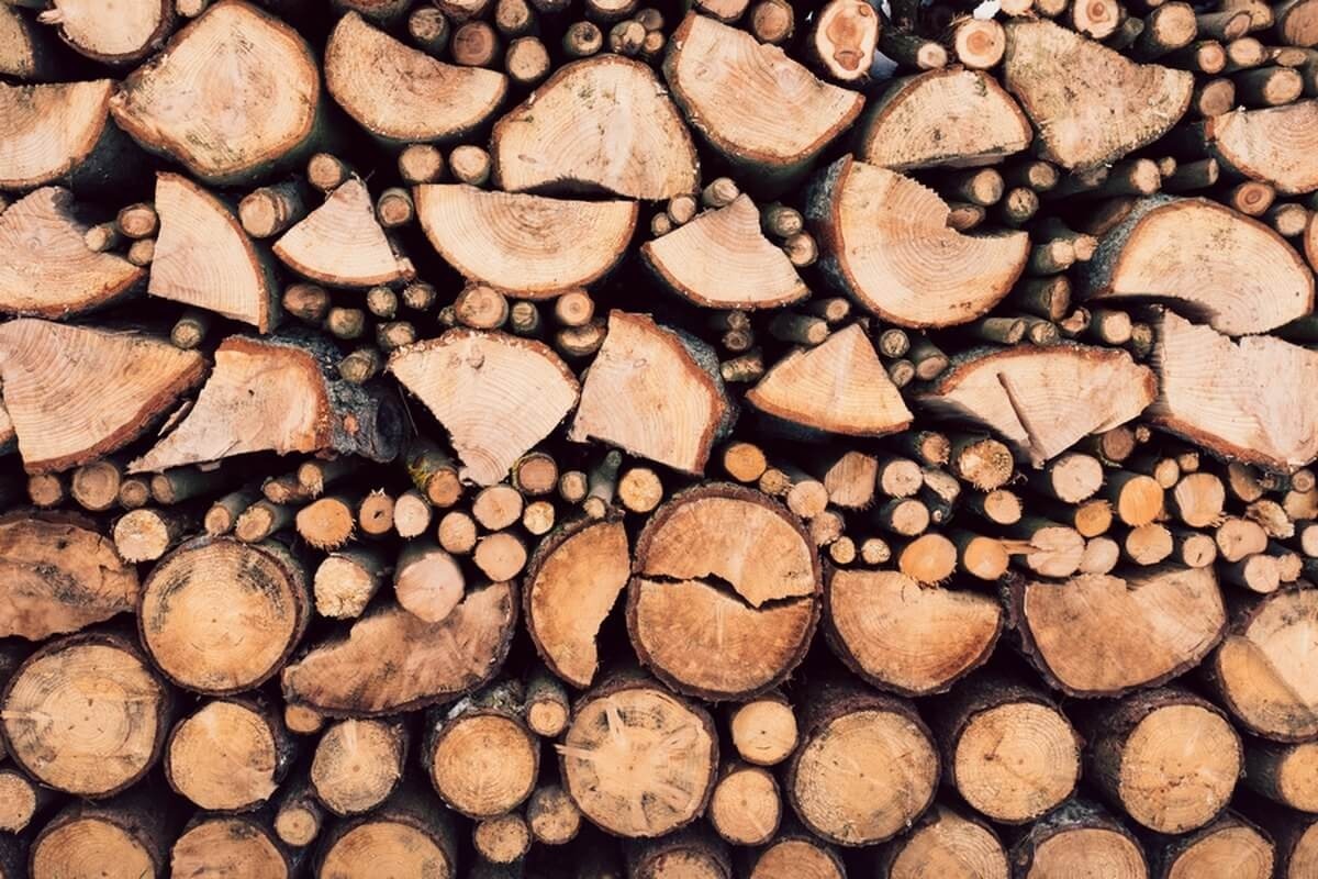 Ideas for a Bug Hotel? Build a Log Pile Instead